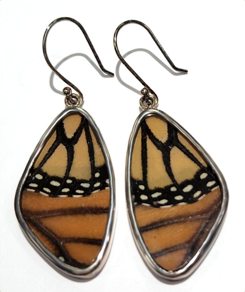 Monarch Butterfly large wing shaped earrings made with real butterfly ...